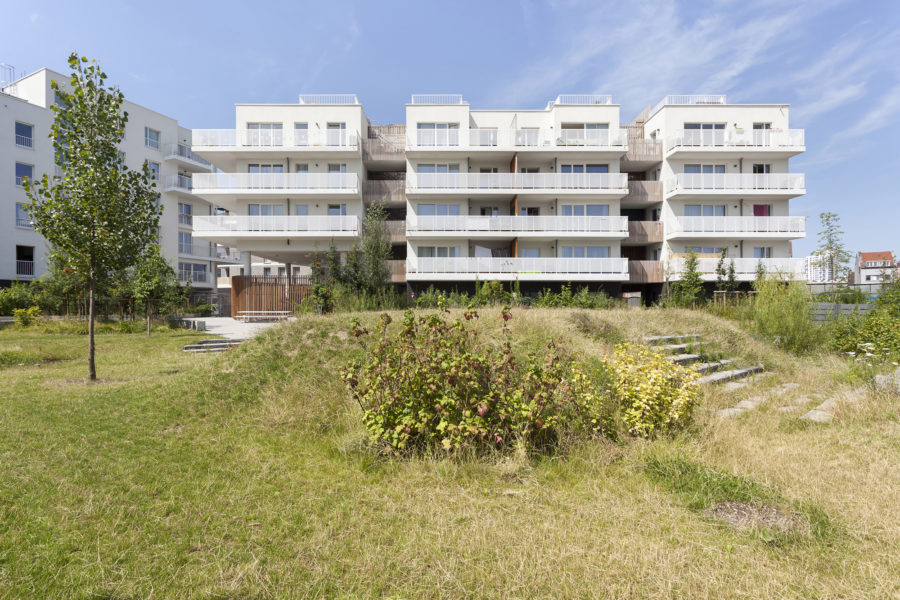 Compas - Case studies - DDS+