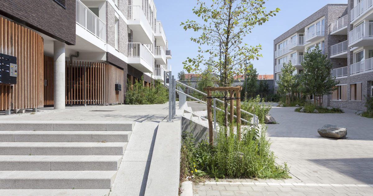 Compas - Case studies - DDS+