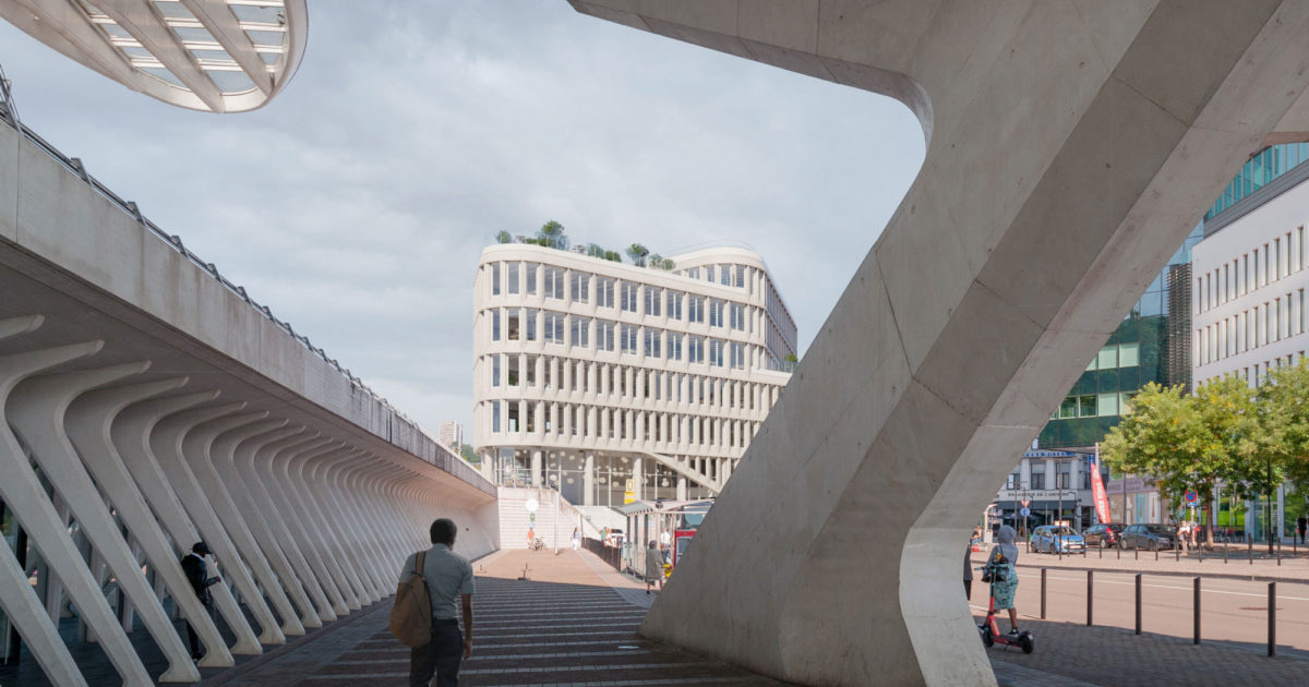 The Hub - Projects - DDS+