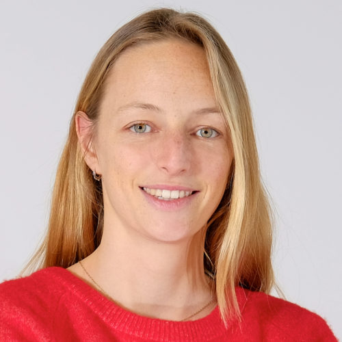 NovaCity - Projects - DDS+